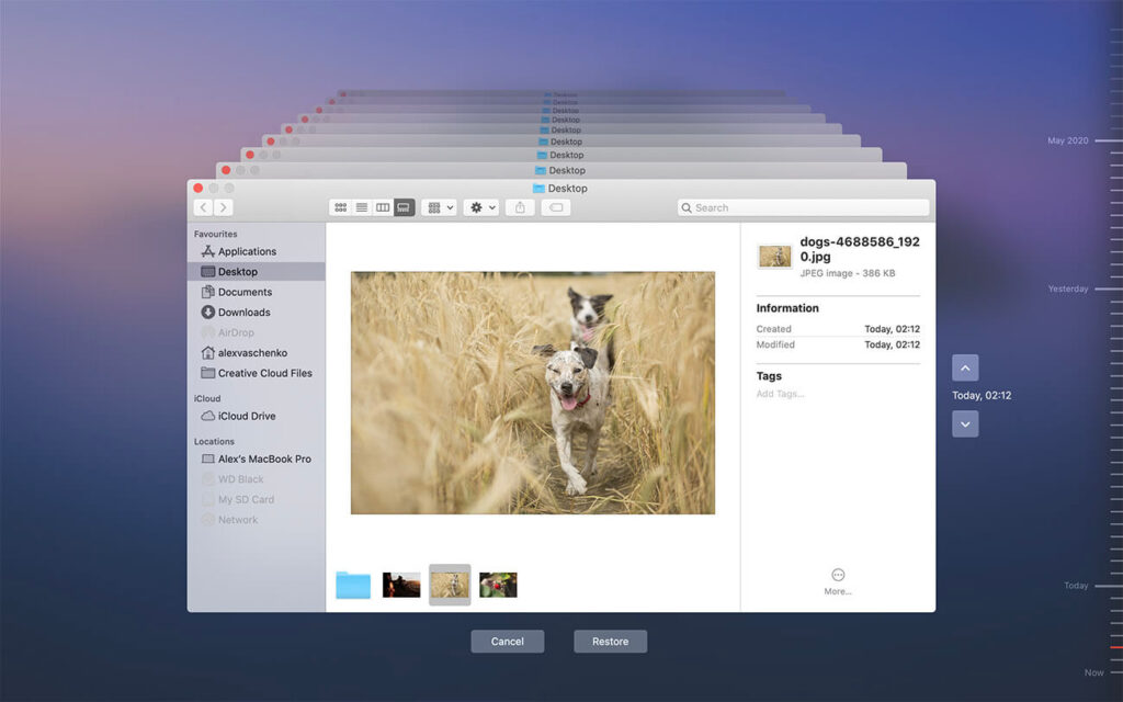How to Recover Deleted PDF Files – Quick & Effective Methods