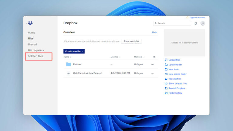 Top 5 Ways to Recover Deleted Files from Dropbox (2025)