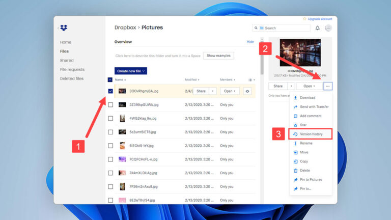 Top 5 Ways to Recover Deleted Files from Dropbox (2025)
