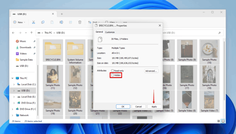 Unhide Files in USB: How to Show Hidden Files on USB Drive